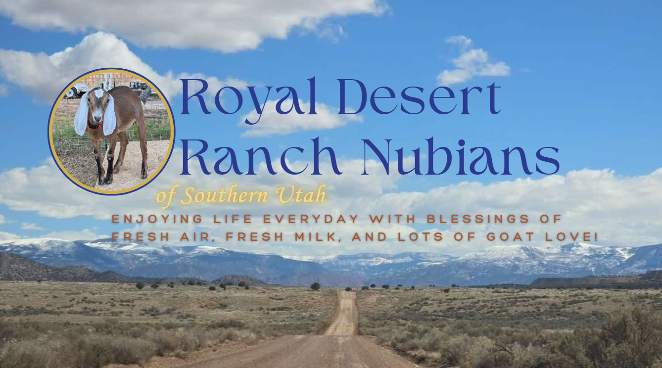 Royal Desert Ranch – Nubian Goats: Purebred, Pure Fun, Pure Love
